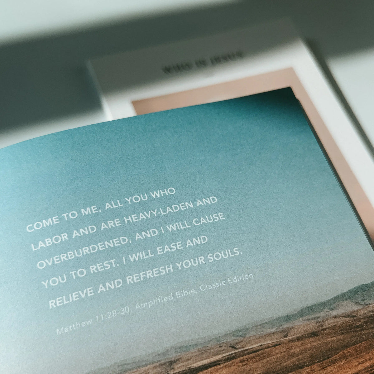 The Project J | Book | Who is Jesus